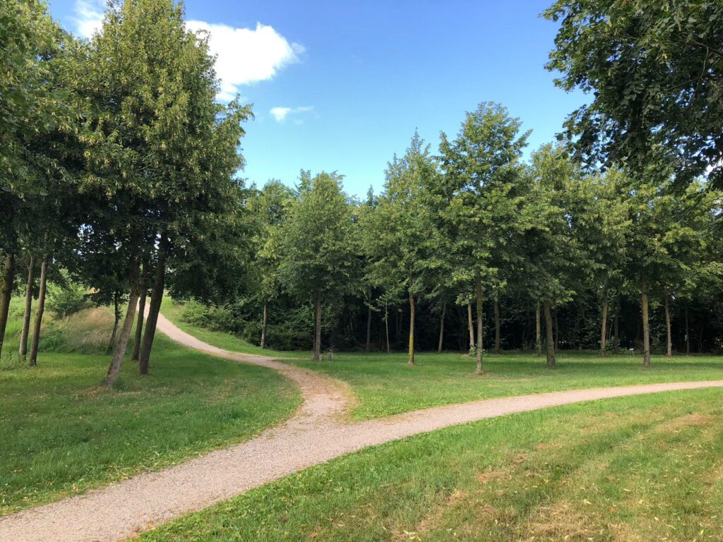 Omgeving - B&B Nancy